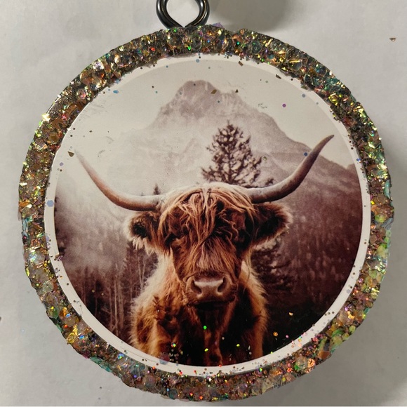 Accessories | Western Car Freshie | Poshmark